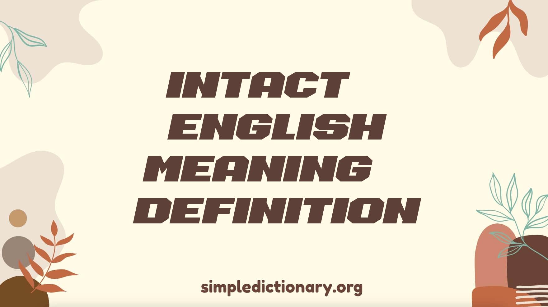Intact English Meaning And Definition Simple Dictionary